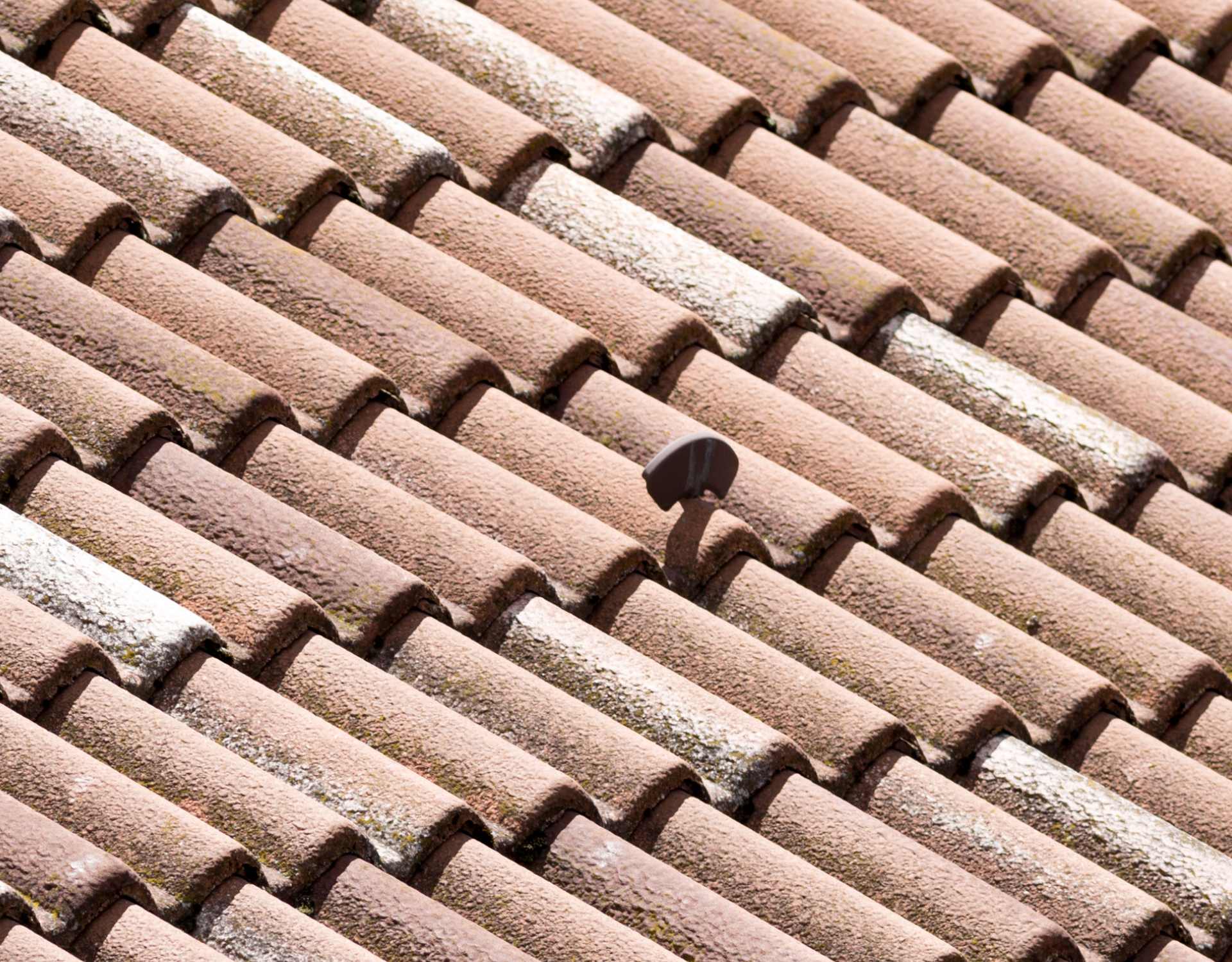Roof Shingles Types: Your Ultimate Guide