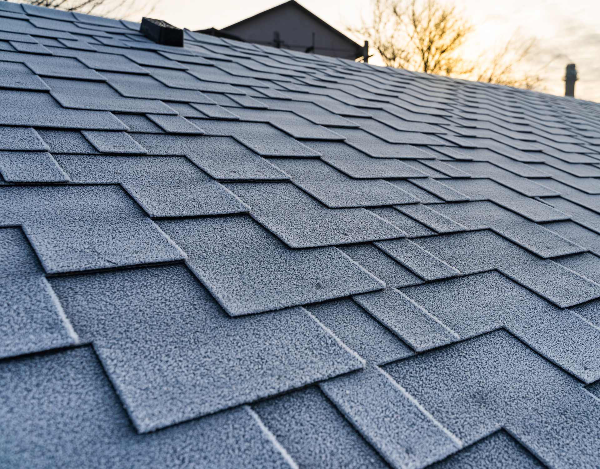 Roof Shingles Types: Your Ultimate Guide