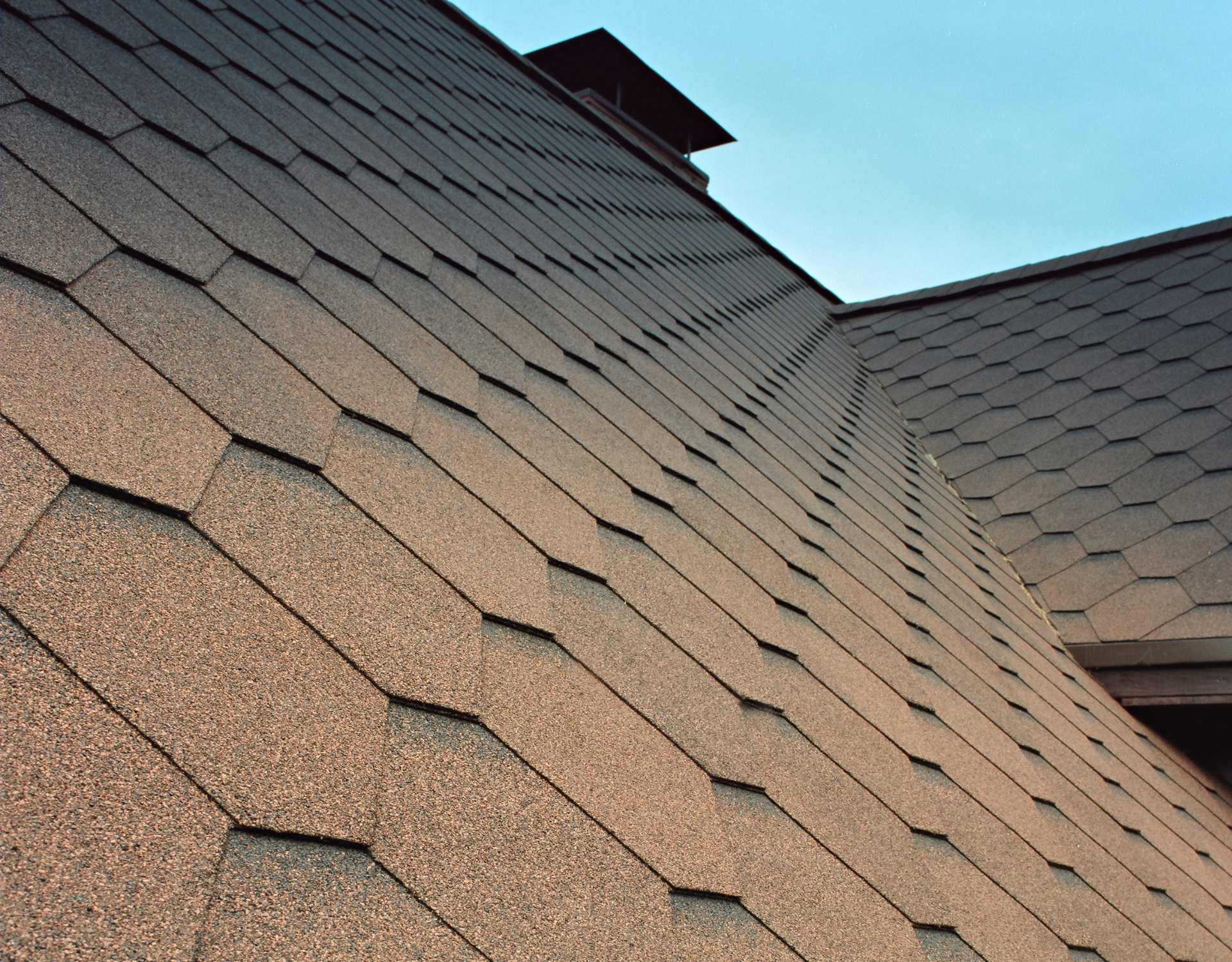 Roof Shingles Types: Your Ultimate Guide