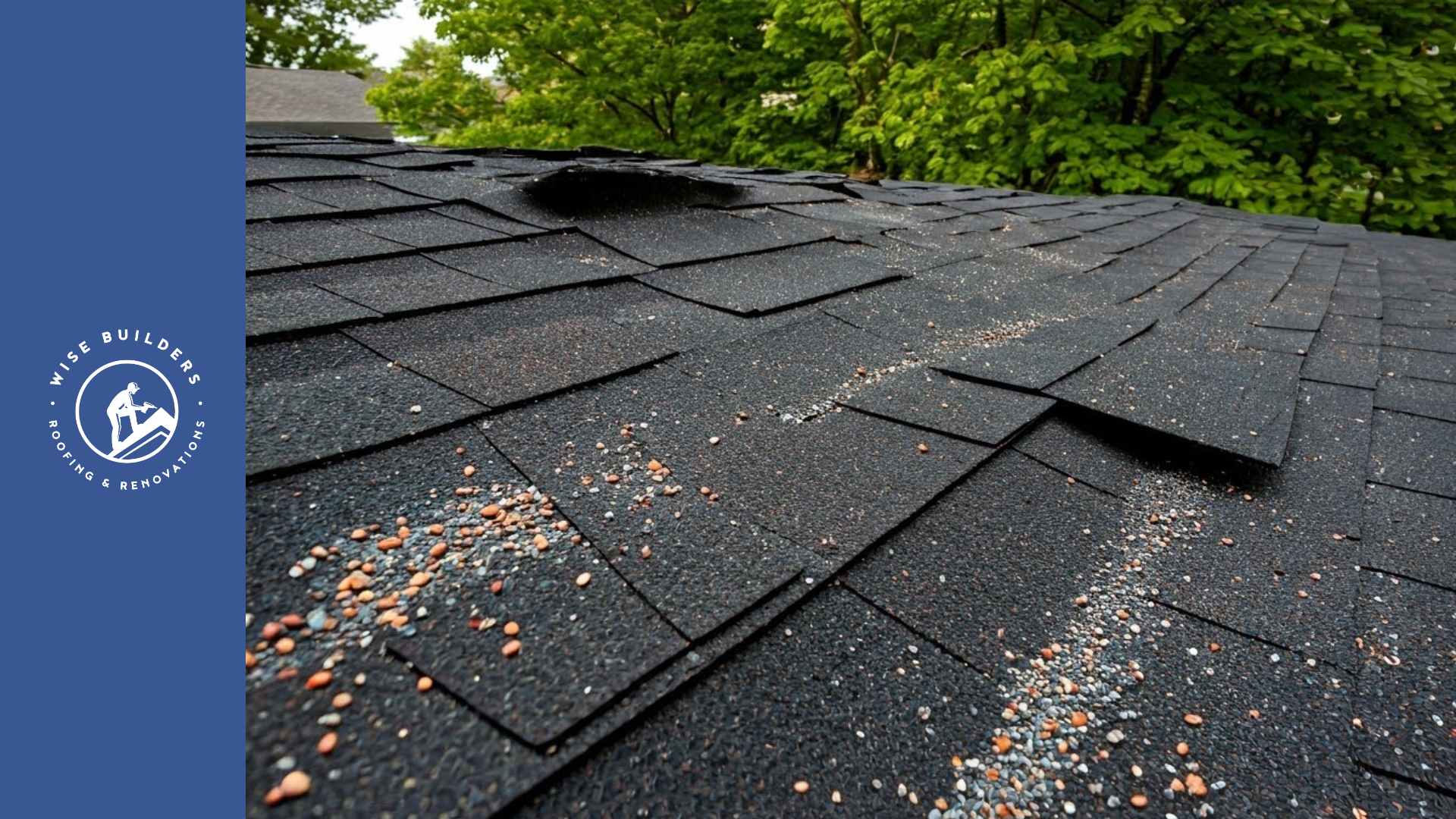Wind Damaged Shingles: Signs and Solutions