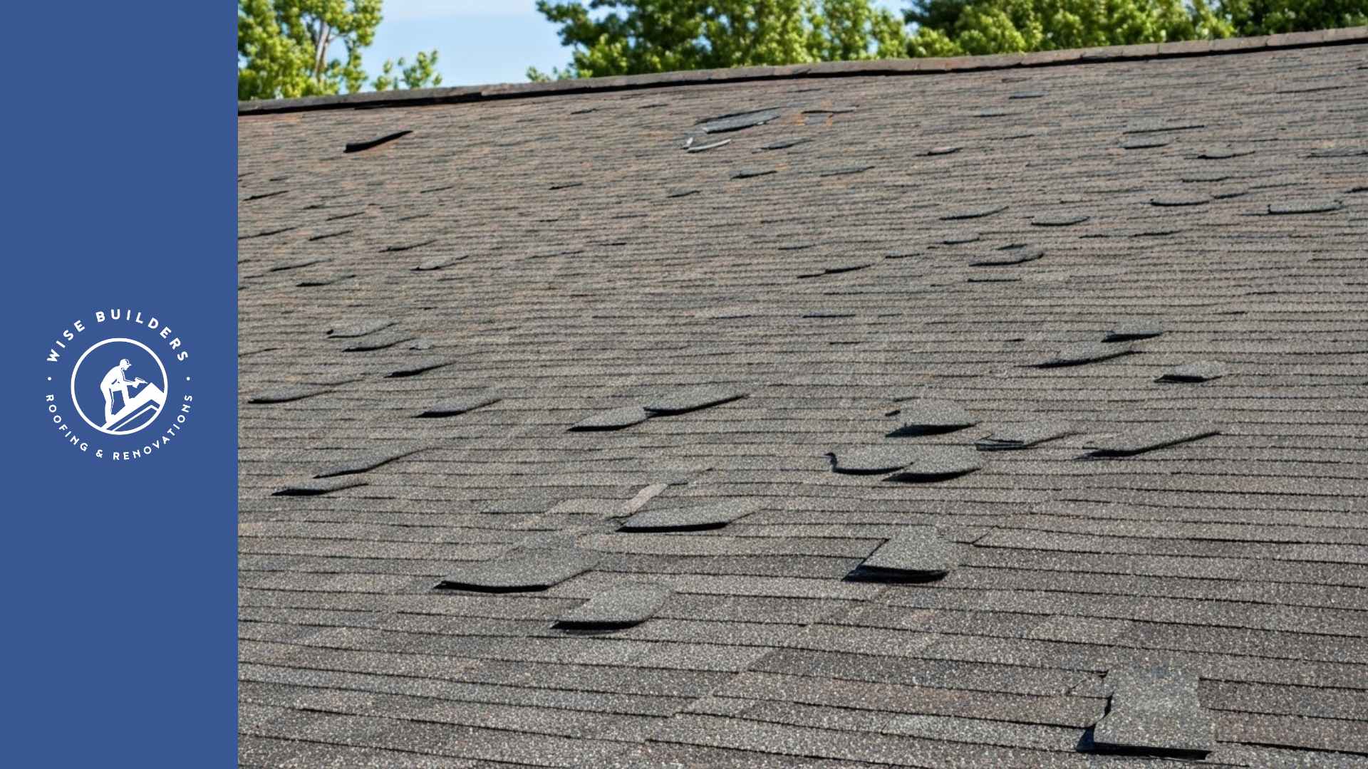 Wind Damage Shingles: Key Insights for Homeowners