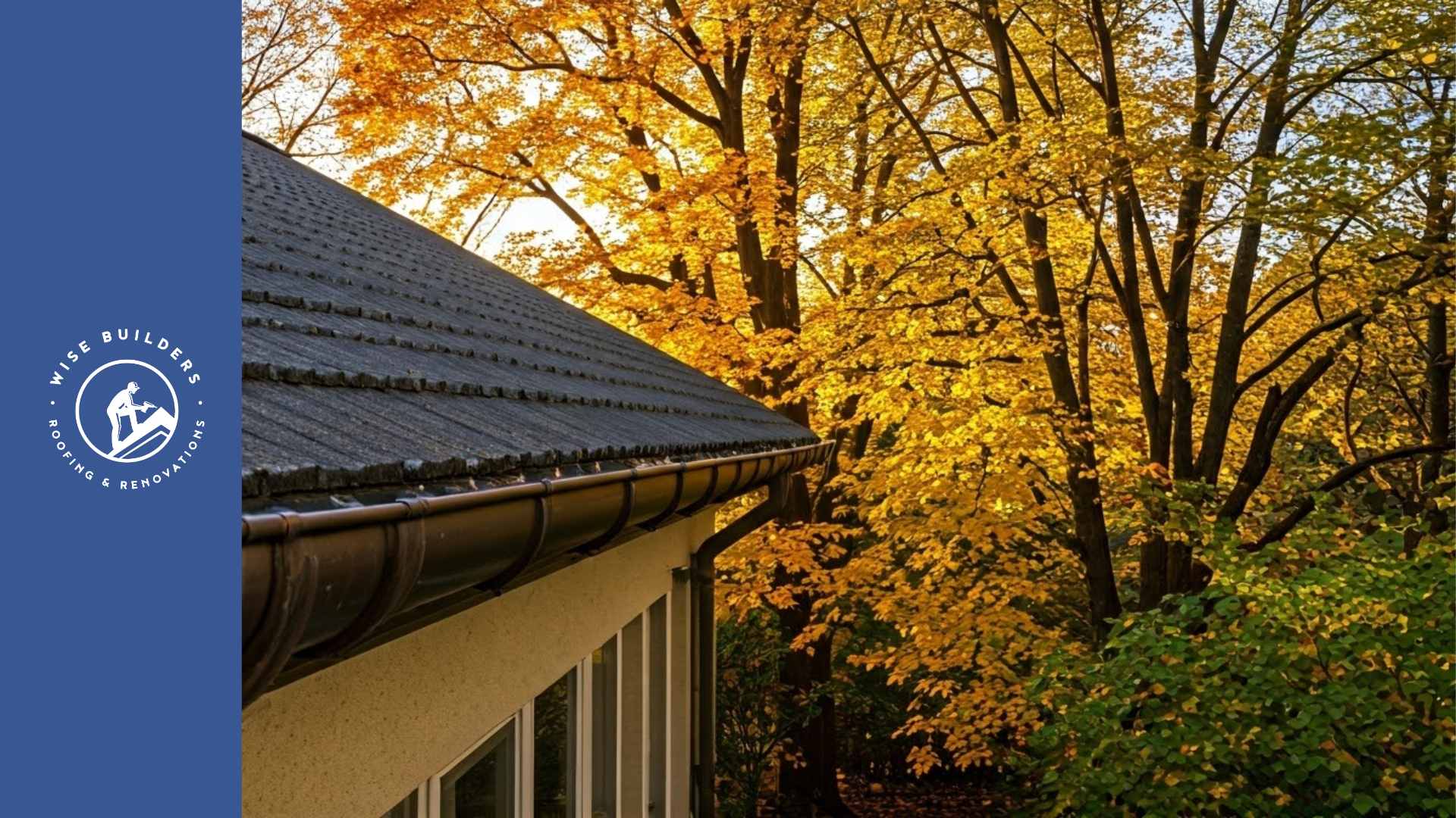 Master Gutter Leaf Cleaning Techniques: Expert Guide